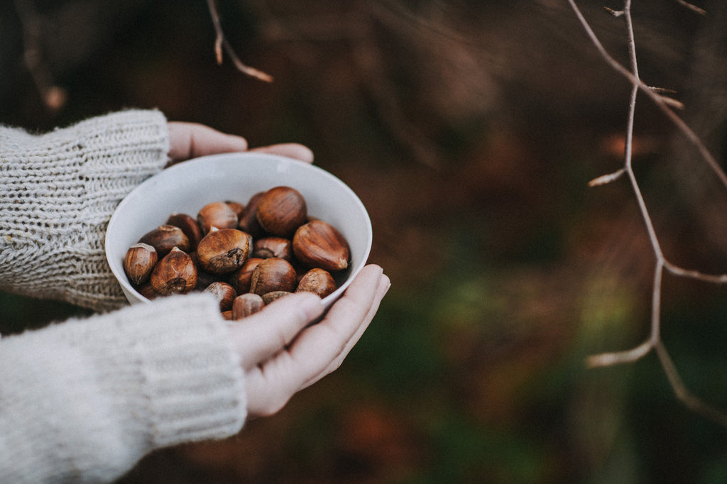 Our Guide to Winter Foraging