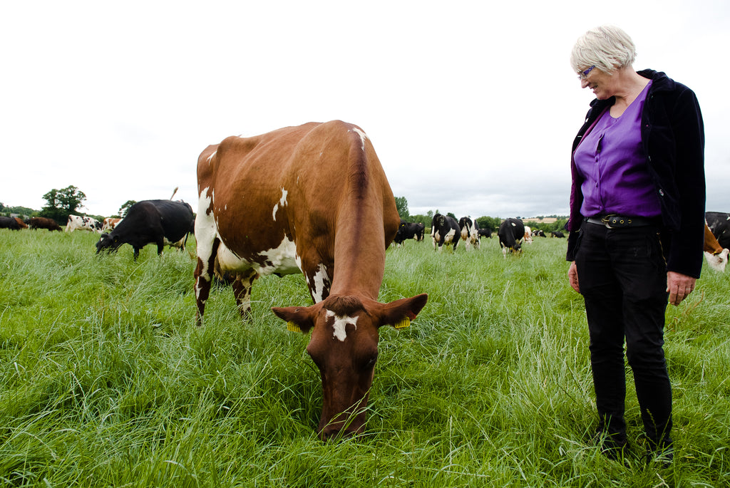 May on the farm