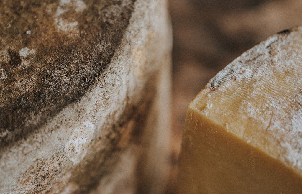 Cheese Mite: Friend or Foe?
